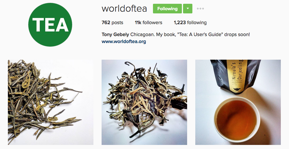 Top Tea Instagram Users - The Cup of Life