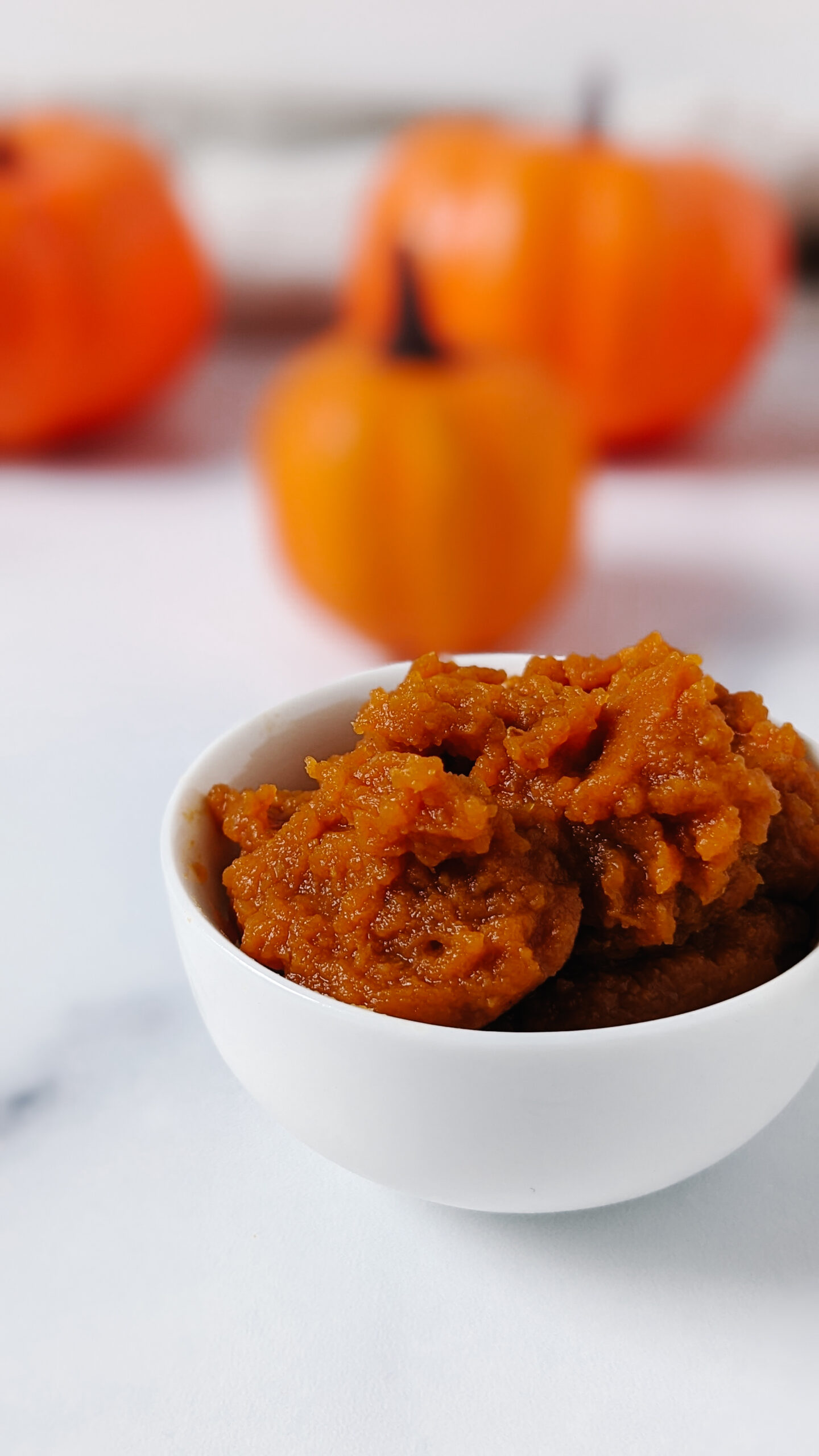 Pumpkin Spice Syrup (for tea and coffee) - The Cup of Life