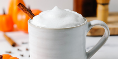 Pumpkin Spice Hojicha Latte - The Cup of Life